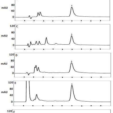HPLC Chromatograms Of Untreated And Forced Degraded Doxycycline Capsule Download Scientific