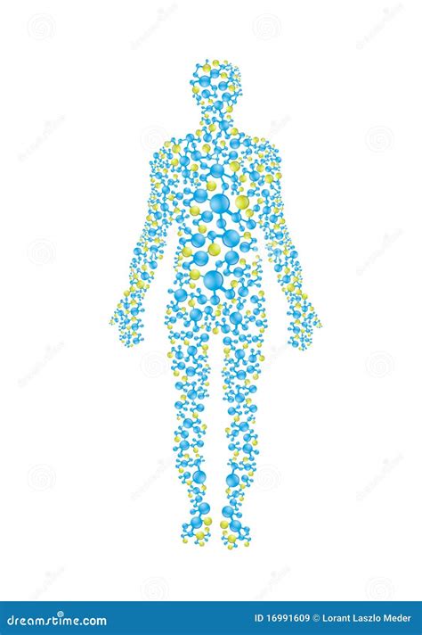 Human Body In Scientific Stock Vector Illustration Of Genetic 16991609