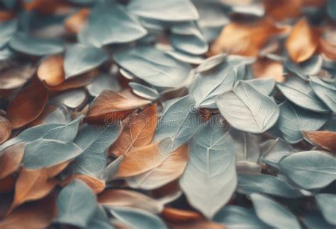 Tile Tree Design Nature Leaf Background Leaves Colours Texture Transparent Plant Stock