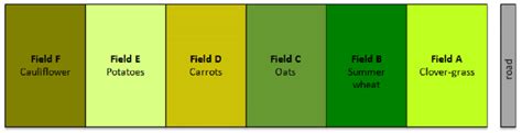 Field Layout As Realised Download Scientific Diagram
