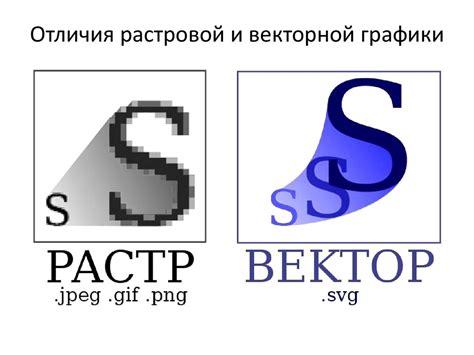 Растровое и векторное изображение