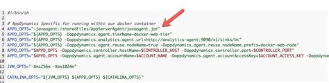 Best Practices For Instrumenting Containers With Appdynamics Agents