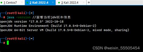 Kali安装jdk18和切换jdk版本kali切换java版本 Csdn博客
