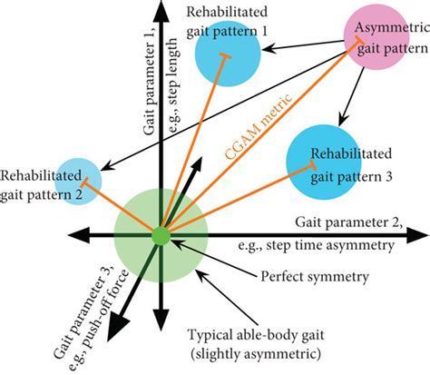 Representation Of The Multidimensional Gait Parameter Space The Orange