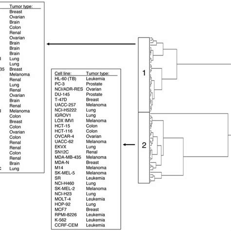 Dendrogram Of Hierarchical Cluster Analysis Complete Linkage Method