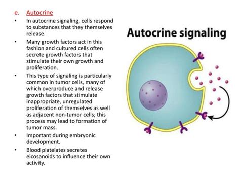 Intercellular Signalling Pathways Pptx Endocrine And Metabolic Diseases Diseases And