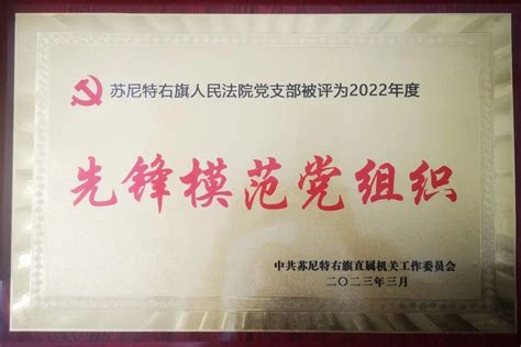 喜讯！苏尼特右旗人民法院党支部获评旗级先锋模范党组织澎湃号·政务澎湃新闻 The Paper