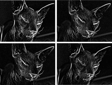 Edge Detection In Computer Vision