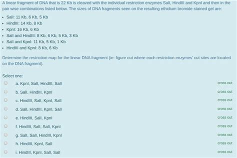 Solved A Linear Fragment Of Dna That Is 22 Kb Is Cleaved