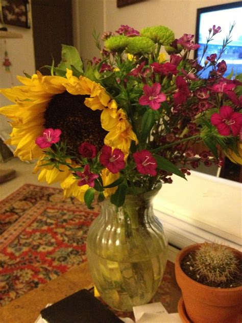 Adventures Of A Food Obsessed Nerd Fish And Code And Code And Fish