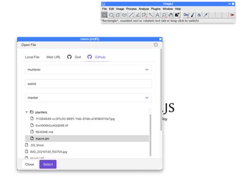 Imagej Macros And Functions User Space Development Imagesc Forum
