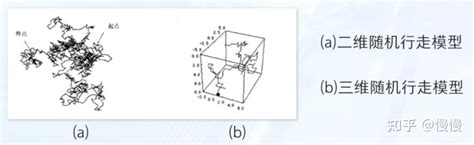 元胞自动机 知乎