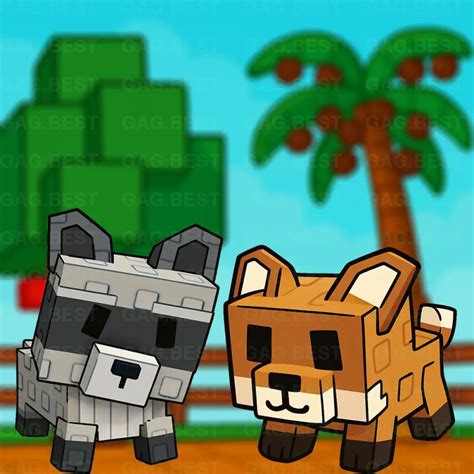 Cute Bundle Gag Best