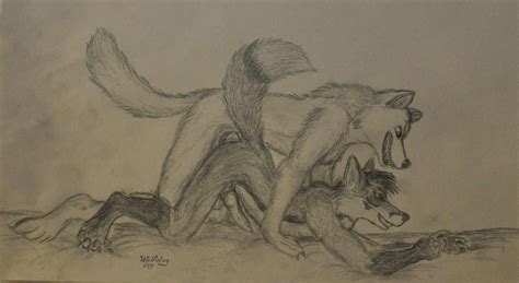 4815855 E621 4815855 E621