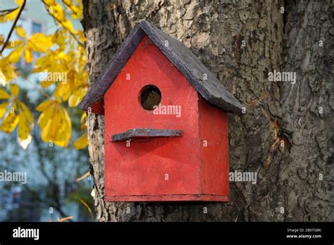 Handmade Nesting Boxes Hanging On A Tree Stock Photo Alamy