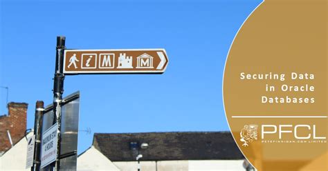 Oracleace Database Security Limited