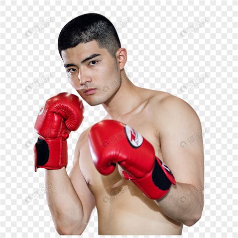 권투 남자 Png 일러스트 무료 다운로드 Lovepik