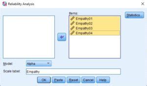 How To Run Reliability Analysis Test In SPSS OnlineSPSS Com