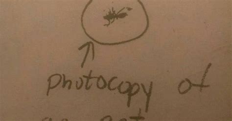 Ant That Was Photocopied Onto My Calculus Midterm Album On Imgur
