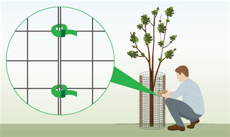 Metal Tree Guard Suppliers NEXT DAY DELIVERY Wire Fence