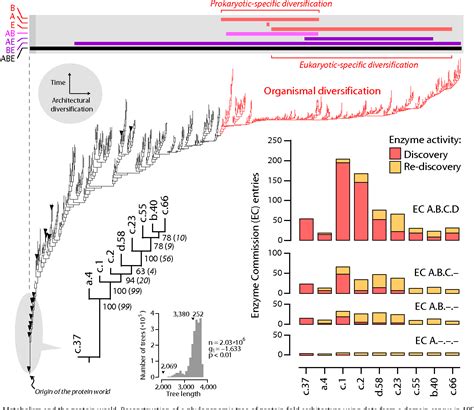 Figure 1 From The Origin Of Modern Metabolic Networks Inferred From Phylogenomic Analysis Of