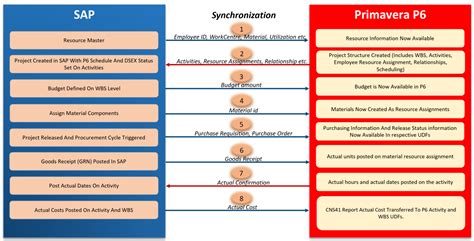 Sap P6 Integration Pre Built Solution
