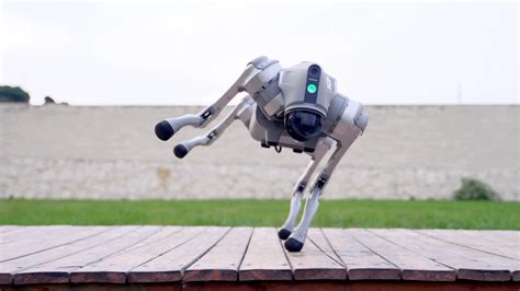 Robotic Dog Programming With Unitree Go2 Ai Navigation Systems Coding Mind Coding Unlocks