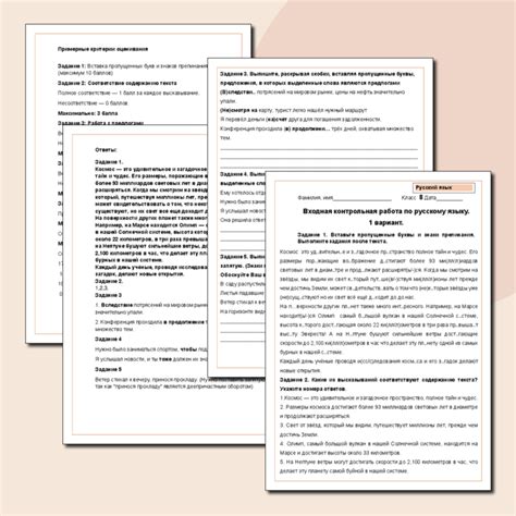 8 класс Входная контрольная работа по русскому языку 1 вариант