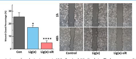 Figure 9 From Design Of Sirna Bioconjugates For Efficient Control Of
