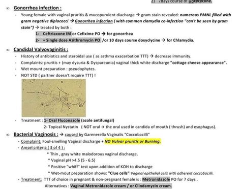 Gynecological Infections MEDizzy