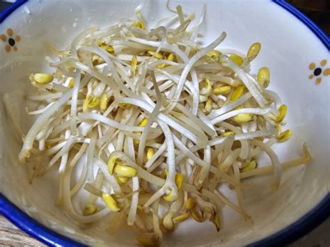 김치 콩나물국 콩나물 김치국 국 종류 해장국