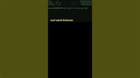Curl Ascii Live Can You Hear Me Can You Hear Me Not Working Curlshot Dance