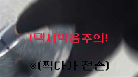 택시전손 픽시 라이딩 엔진11 스프린터 주행영상 크릿디 공도주행 Youtube