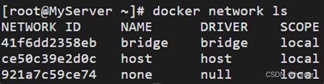 docker容器实验报告 finalshell安装docker实验报告 csdn博客