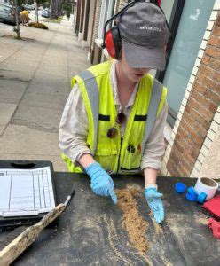 Field Geologist At Geo Forward Women In Geology GEO FORWARD