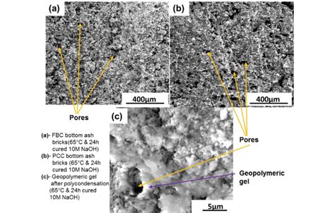 Sem Micrograph Of Bricks Samples Download Scientific Diagram