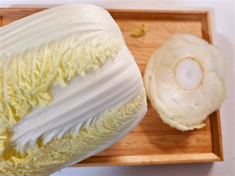 김치 배추 절이기 백김치 담그는 법 김장 레시피 김치풀 만들기