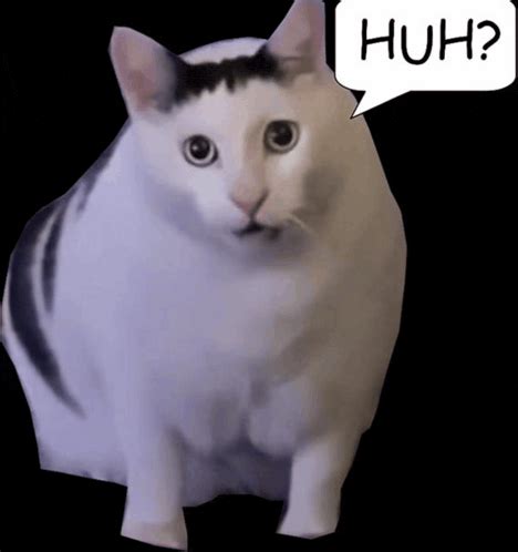 Huh Huh Cat Meme Huh Huh Cat Discover And Share S