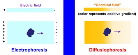 Particle Diffusiophoresis
