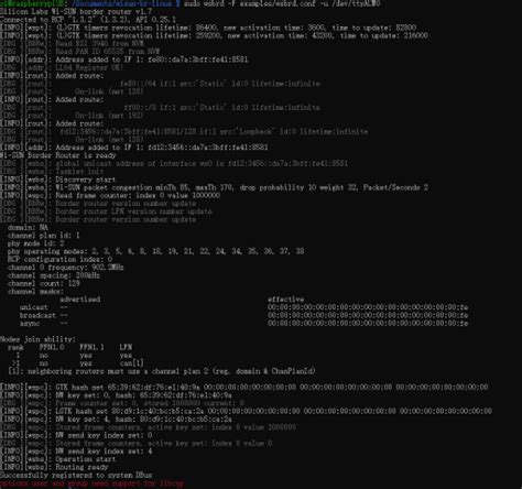 Fg25 Wi Sun Network Based On Border Router Linux Host
