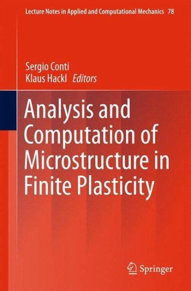 Analysis And Computation Of Microstructure In Finite Plasticity Englisches Buch Bücher De