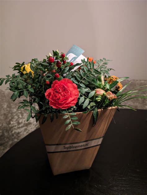 Geert Jan· Hamstra On Linkedin Zetadisplay