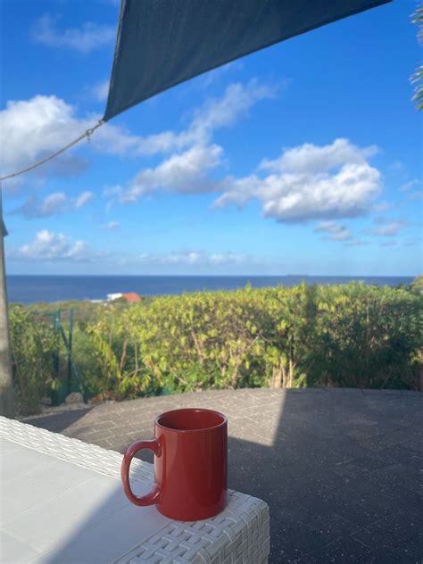 Cassandra Taylor On Linkedin I Am A Big Fan Of Working Hard And