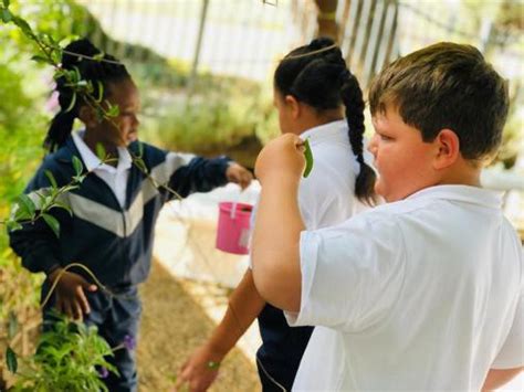 Science Class Heritage House Primary