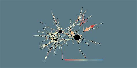 Introduction To Bag Of Words Bow Model Analytics Vidhya