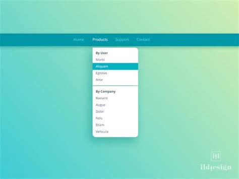 30 Great Examples Of Dropdown Menu Ui Design Smashfreakz