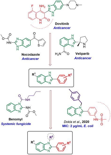 Rational Study Design Illustrating The Structure Of The Newly Designed Download Scientific