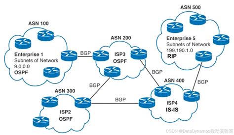 Bgp基础 Csdn博客