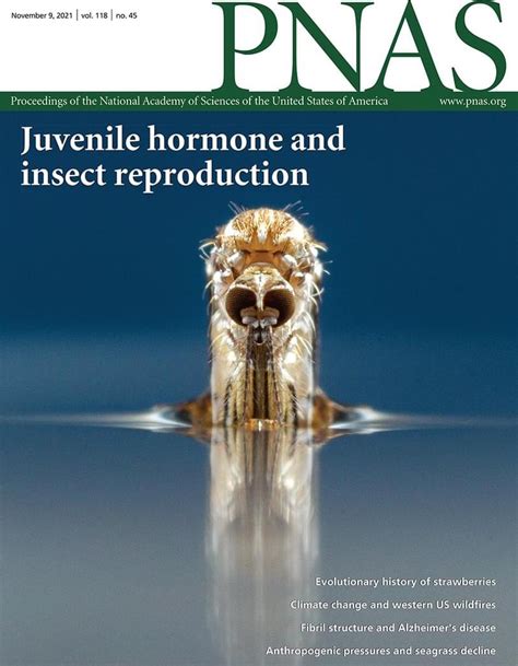 The Neural Architecture Of Language Integrative Modeling Converges On Predictive Processing