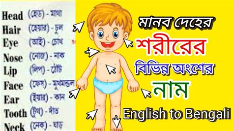 Human Body Parts Name In English To Bengali